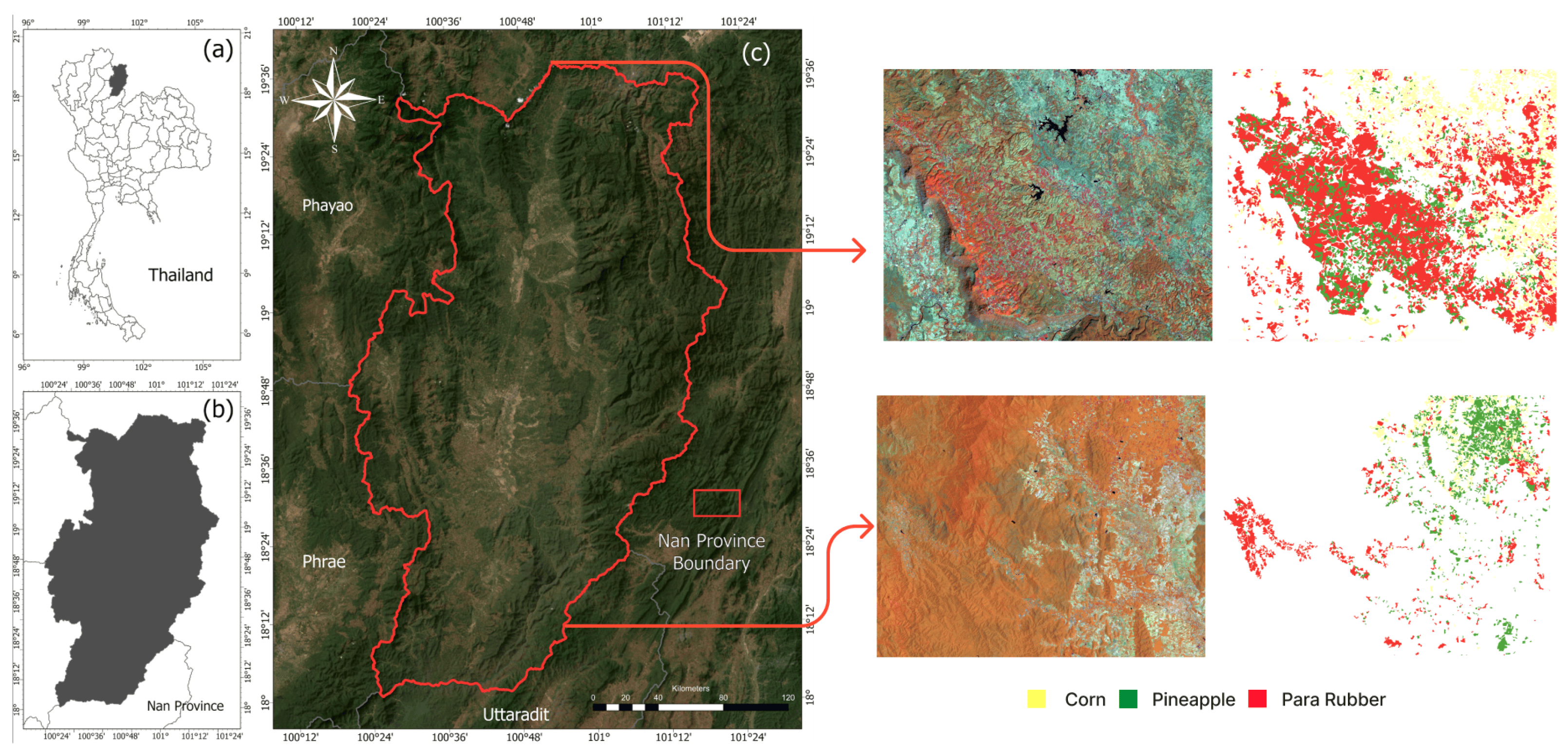 Semantic Segmentation On Remotely Sensed Images Using Deep Convolutional Encoder Decoder Neural