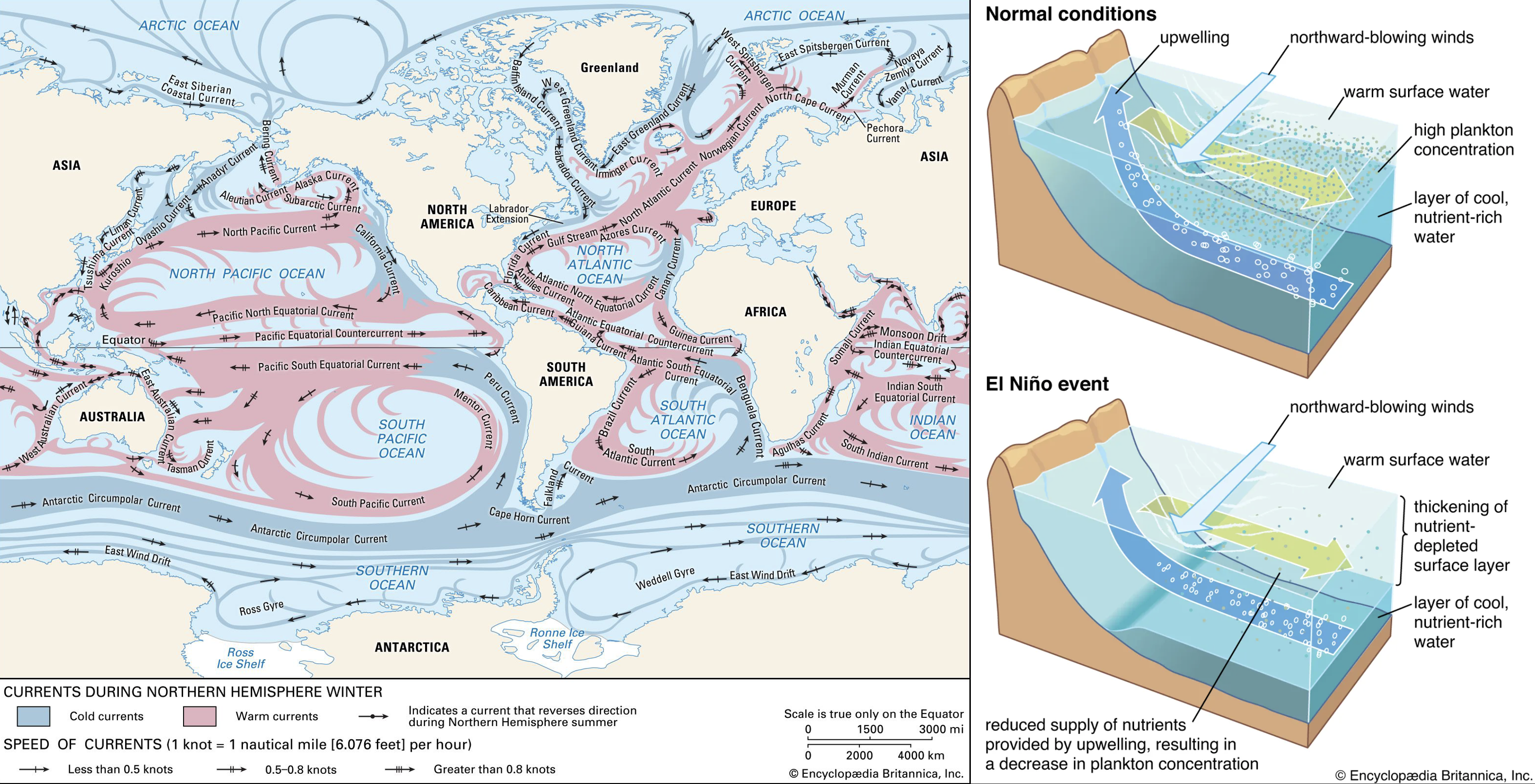 SEA-ViT: Sea Surface Currents Forecasting Using Vision Transformer and GRU-Based Spatio-Temporal ...